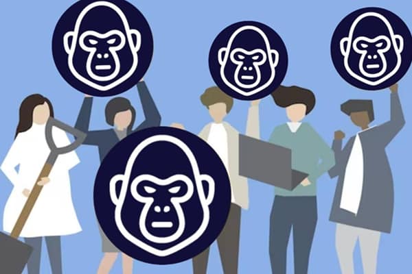Harambe Token: The importance of community engagement and growth ...