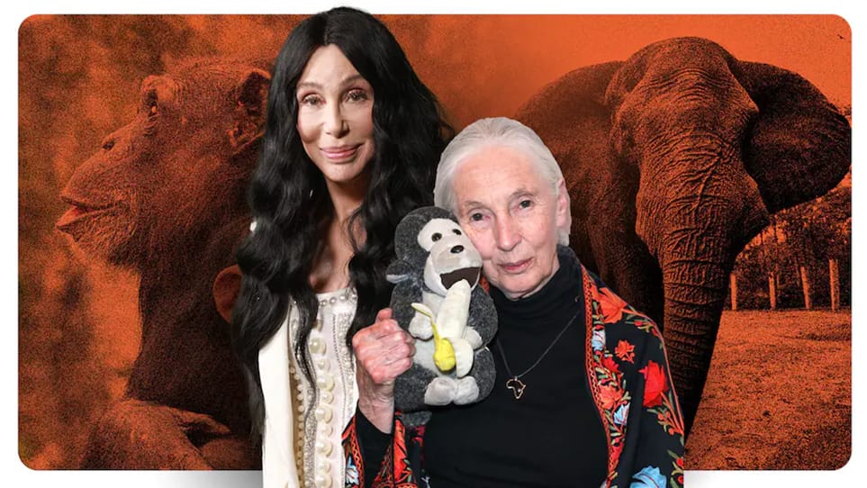 One young world’s Kate Robertson sat Cher and Jane Goodall down for a ...