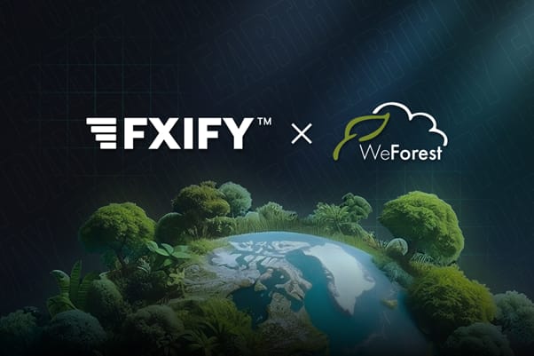 FXIFY™ and WeForest partner again to tackle deforestation in 2025 - London Business News ...