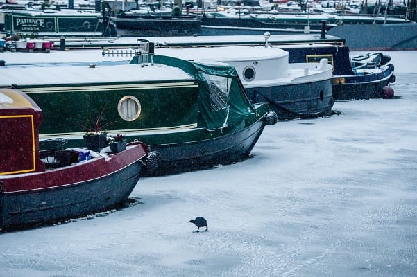 River Thames freezes over as ‘Beast of the East 2’ bring sub zero ...